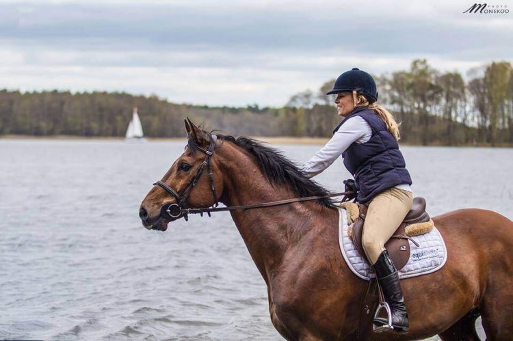 ferenstein-2 – Dressage.pl